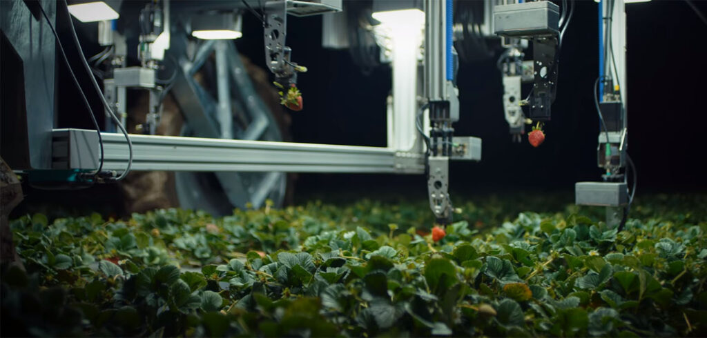 Berry picking at its best with AGROBOT Technology | Farm Automation Today