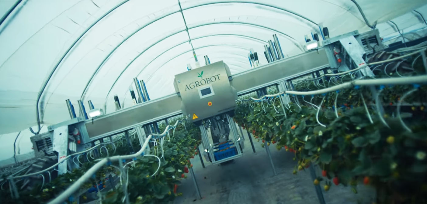 Berry picking at its best with AGROBOT Technology | Farm Automation Today