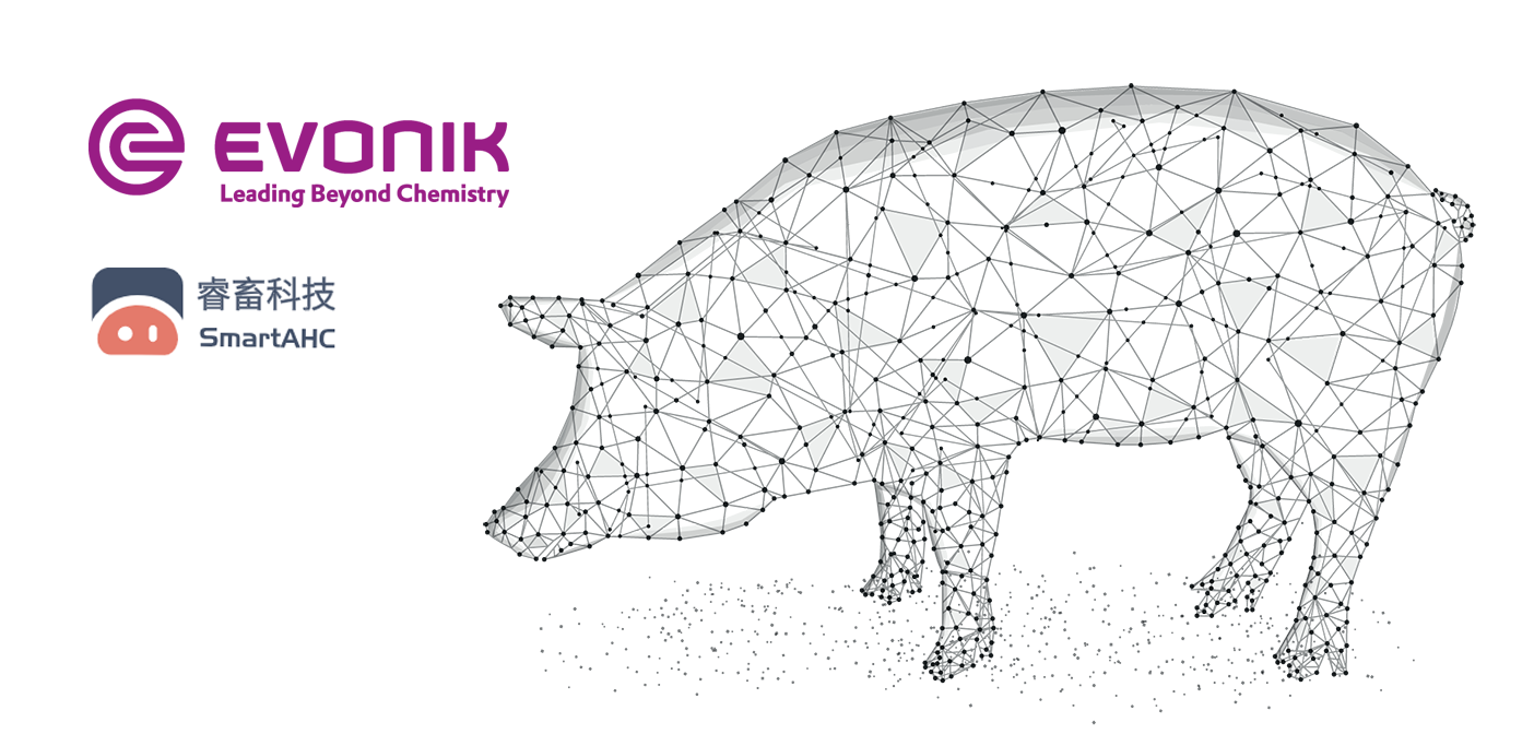 Chinese technology for more intelligent and healthier pig farming ...