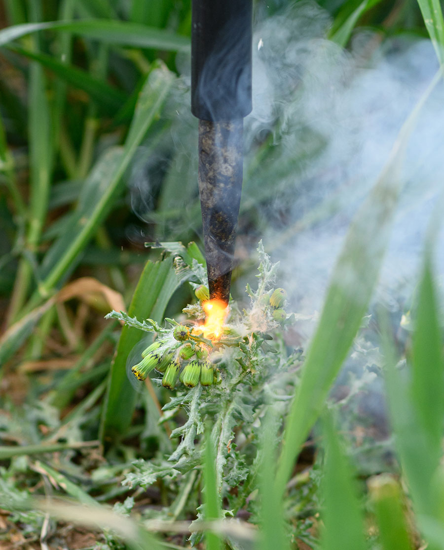 Small Robot Company's first commercial robot 'Tom' launches as per ...