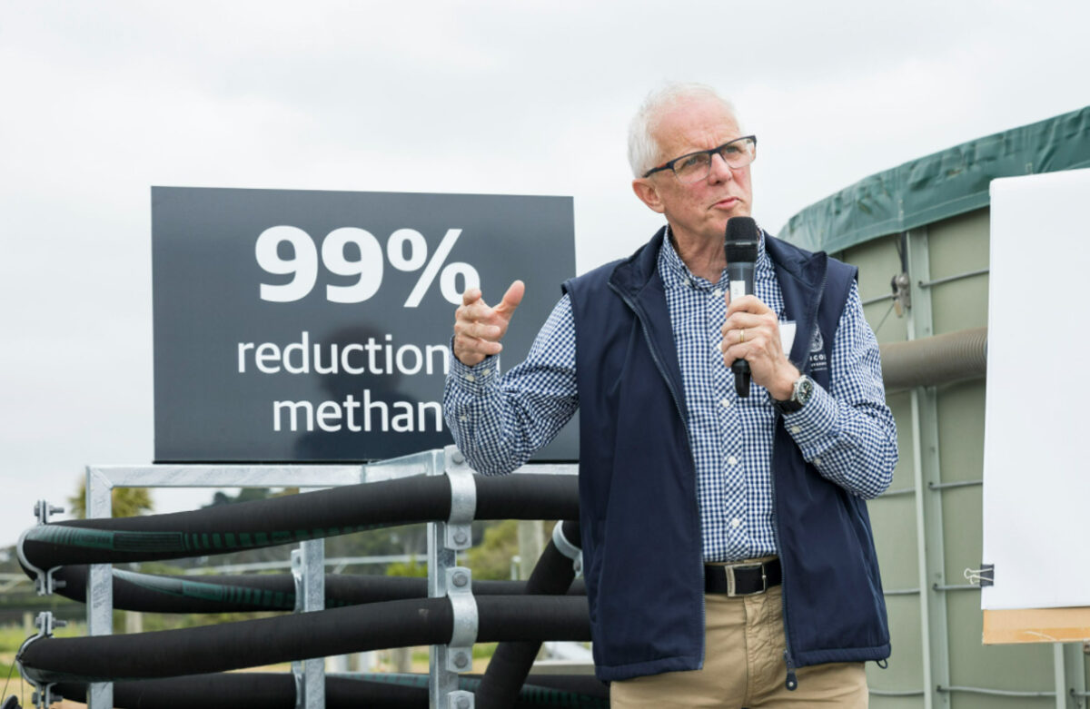 Reducing methane emissions from cattle and dairy farming | Farm ...