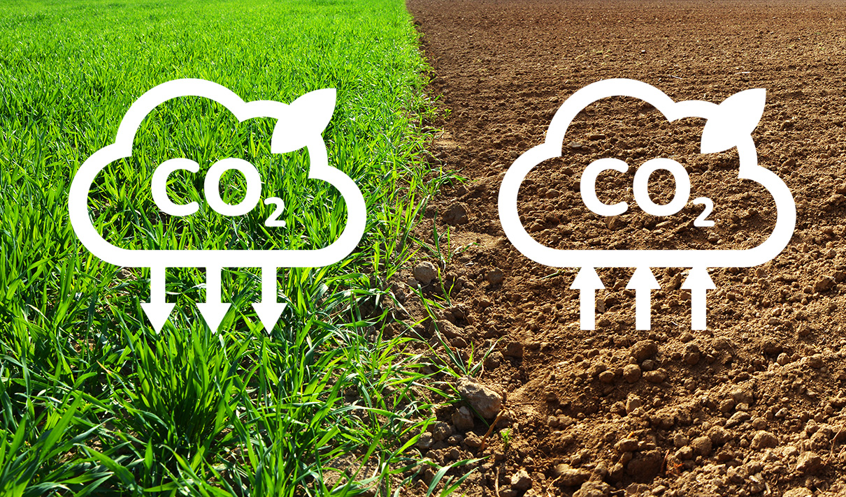 Climate-smart farming: Agrology launches real-time carbon monitoring ...
