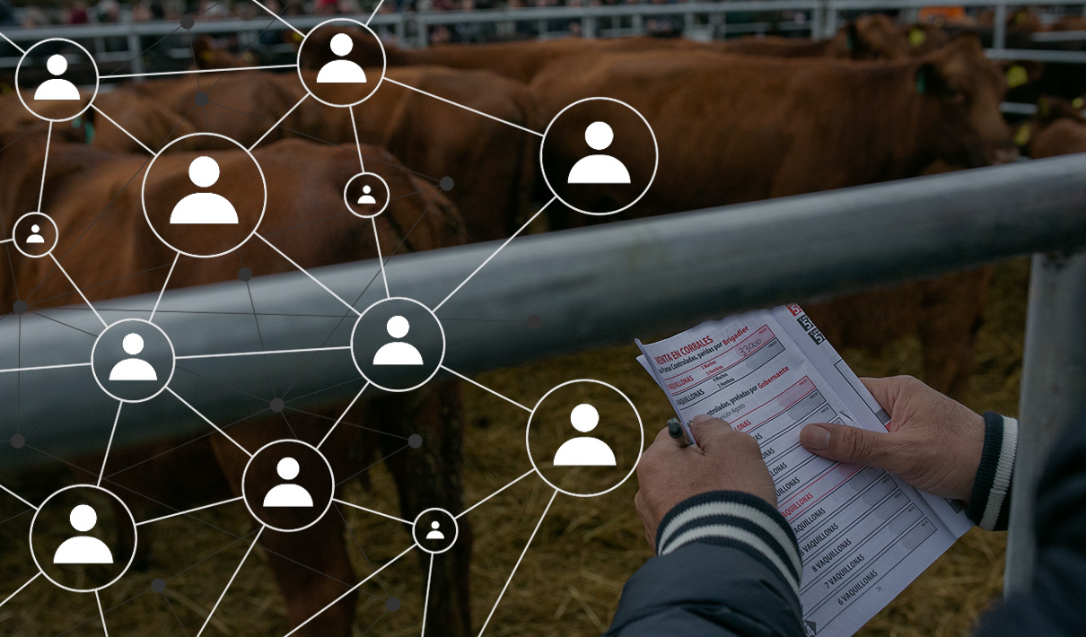 UK agritech company Hectare raises US$20m in Series A funding | Farm ...