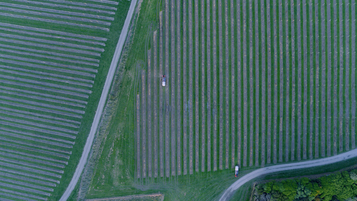 Prospr, a new multi-use autonomous vehicle from Robotics Plus | Farm Automation Today