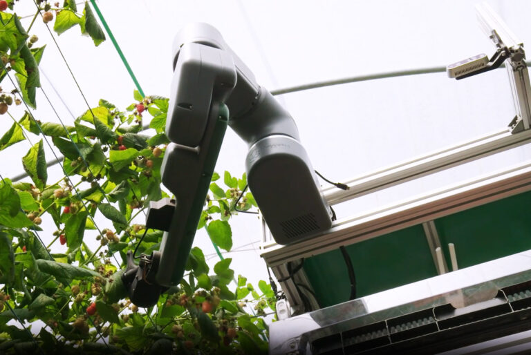 £1.1m UK Government grant for Fieldwork’s BerryBot Project | Farm ...